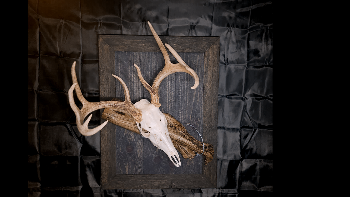 The Rustic European Mount Plaque – Goltine