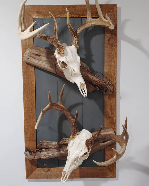 Vertical Double Plaque – Goltine