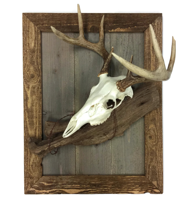 European Mount Plaques & Hangers – Goltine